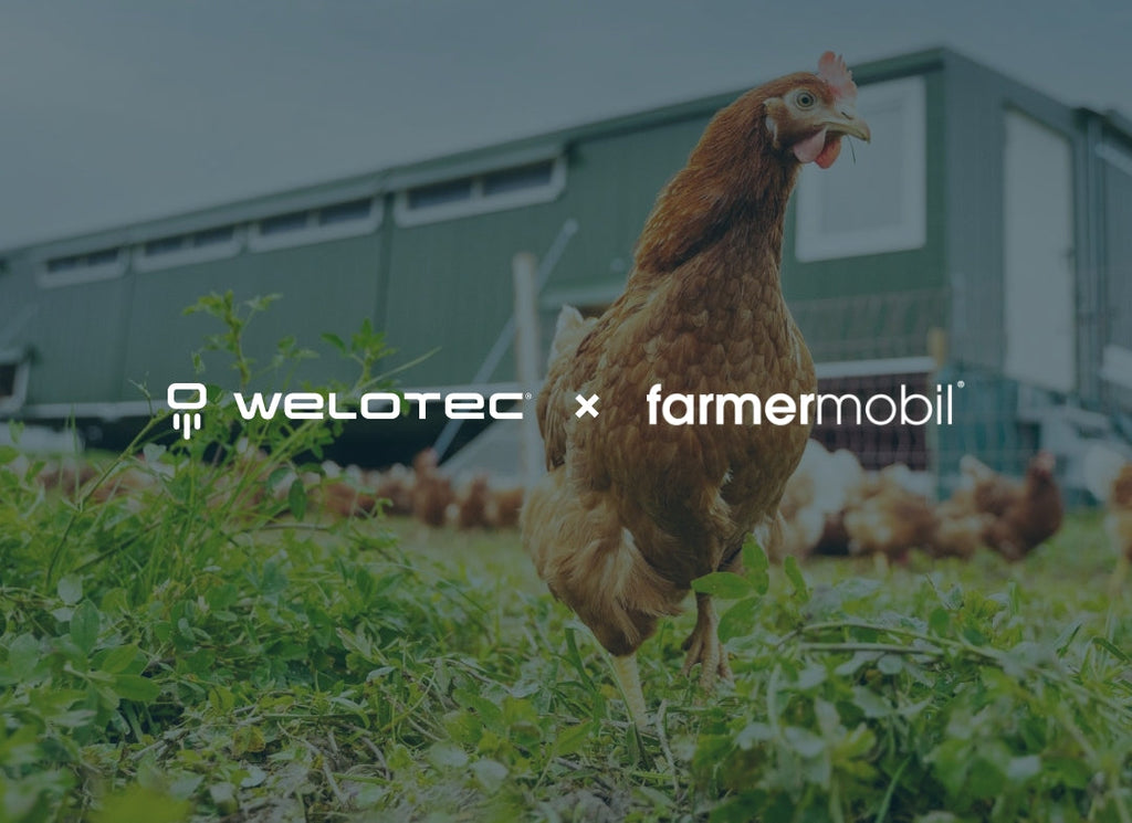 Fortinet Firewall for IEC 61850 Substations | Welotec